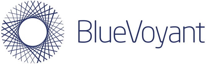 Silver Sponsor: BlueVoyant - RVAsec
